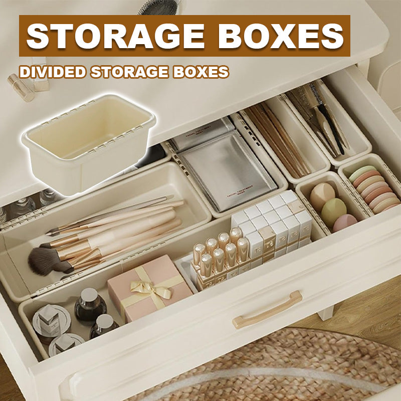 Divided Storage Box – cexcshop